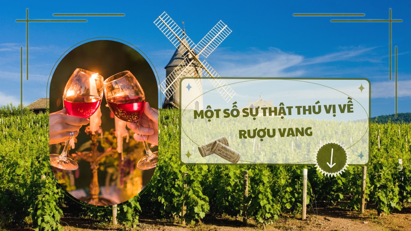 MỘT SỐ SỰ THẬT THÚ VỊ VỀ RƯỢU VANG - Rượu Nhập Khẩu Cao Cấp